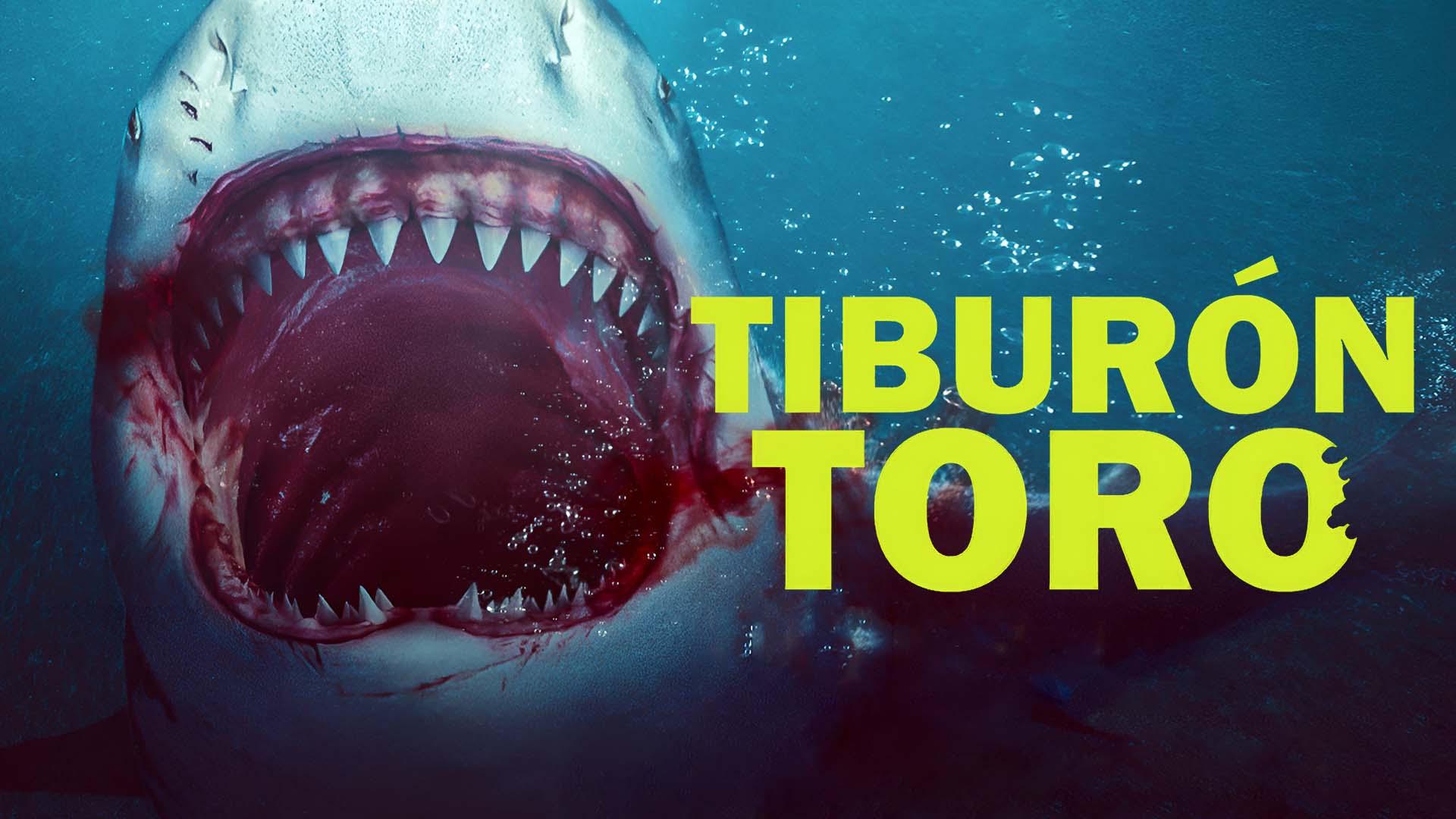 Tiburón Toro