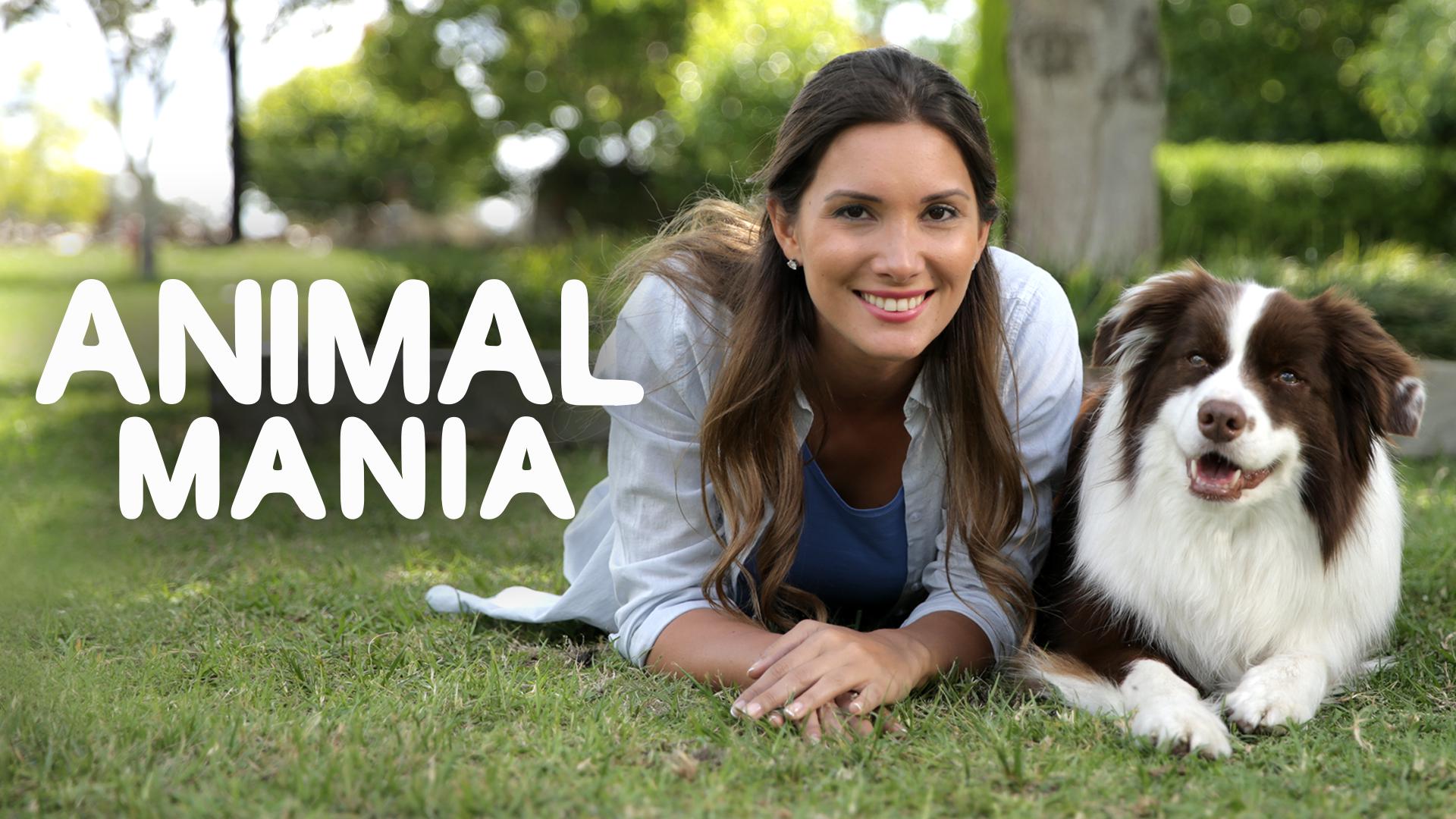 Animal Mania